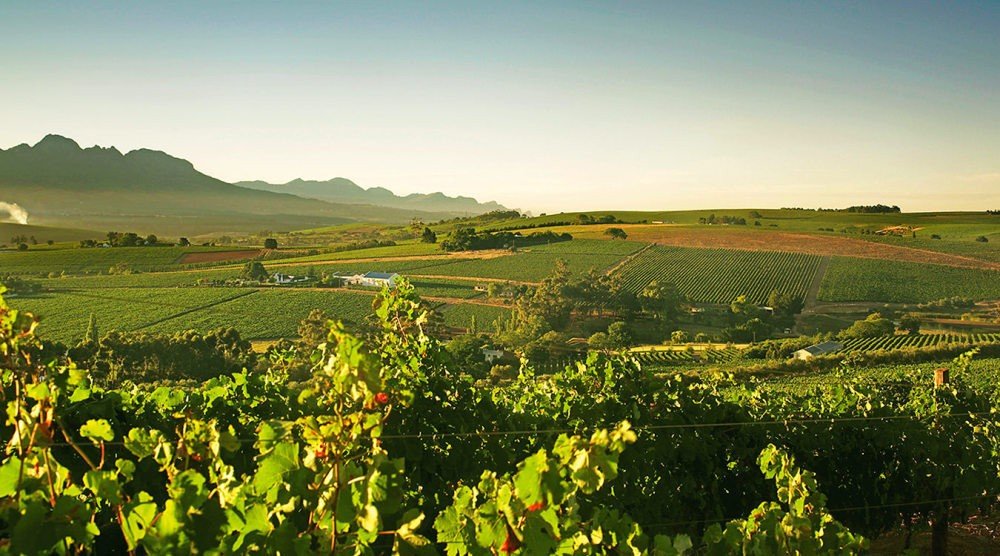 Fleur du Cap | Portfolio | Maisons Marques & Domaines