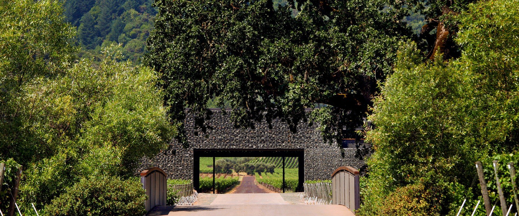 Dominus Estate | Portfolio | Maisons Marques & Domaines