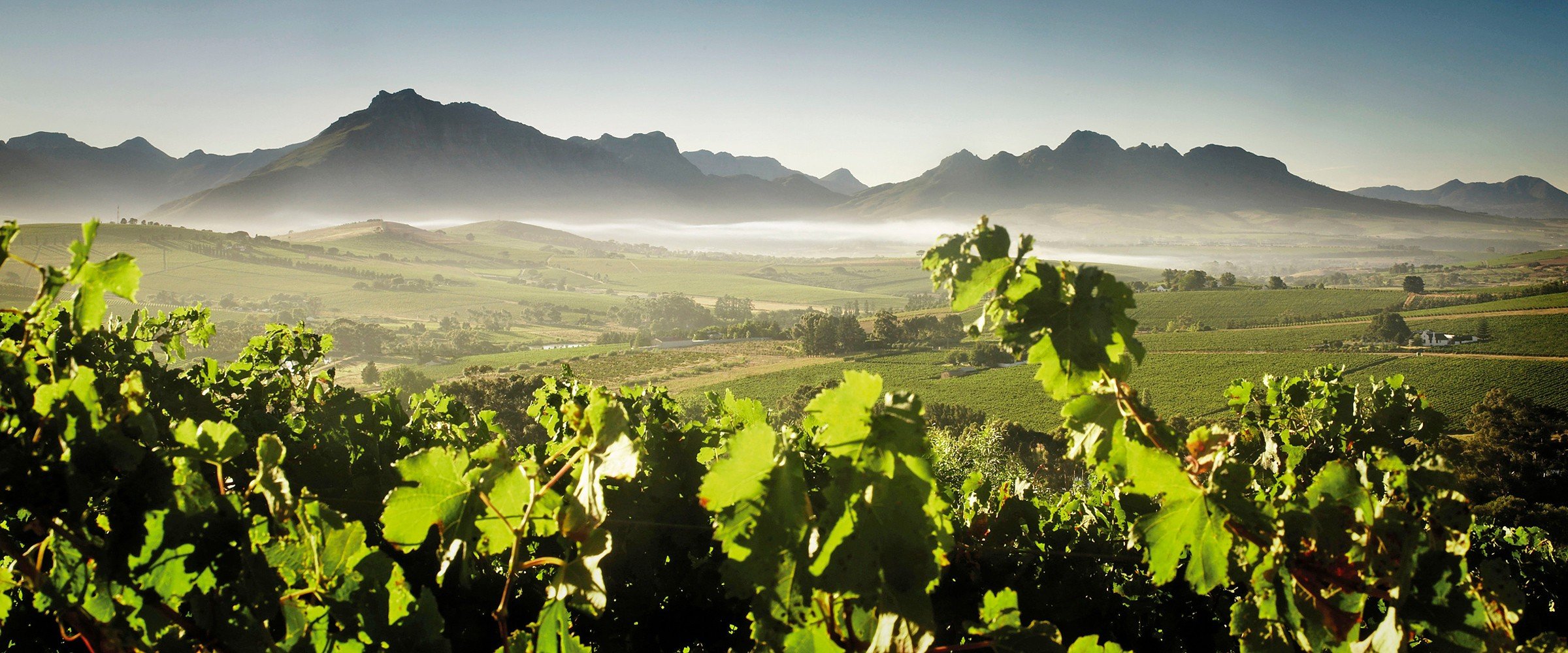 Fleur du Cap | Portfolio | Maisons Marques & Domaines